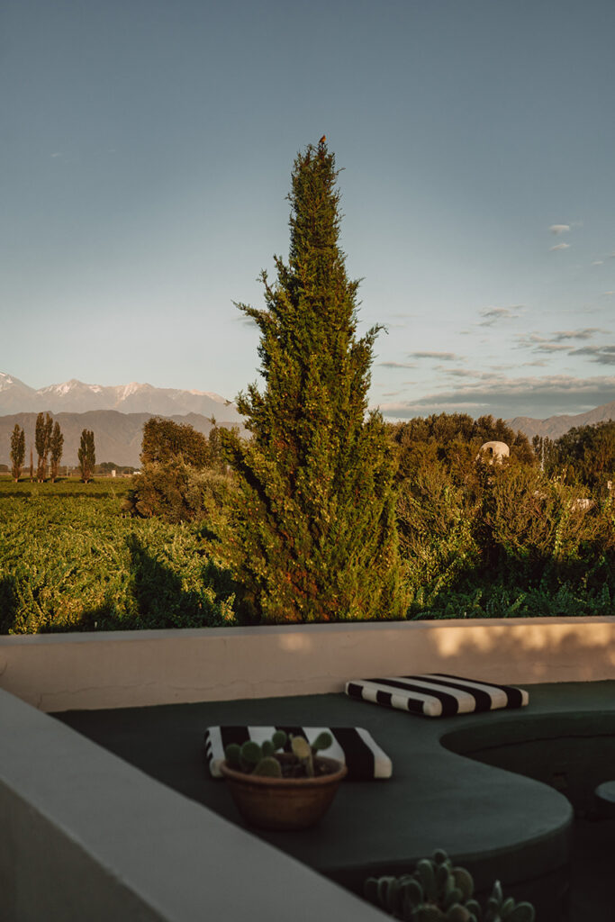 Private Villas & Rooms In Mendoza Vineyards | Awasi Mendoza